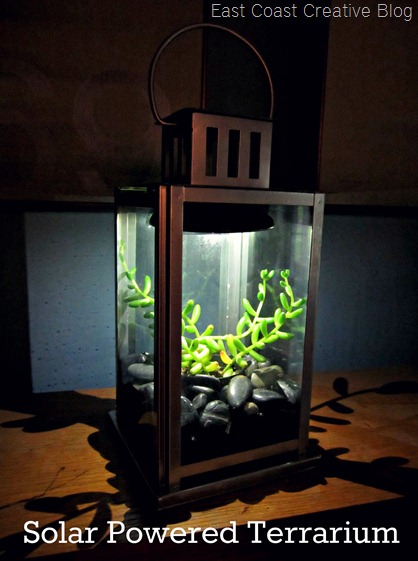The Fern and Mossery: Solar LED Lantern Terrarium
